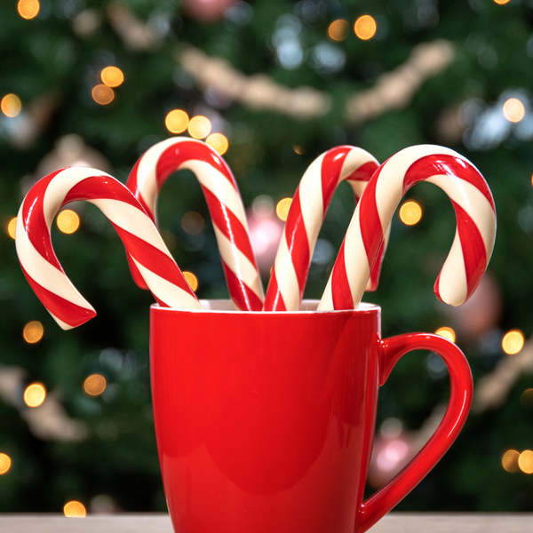Peppermint Candy Canes For Christmas | Hammond's Candies