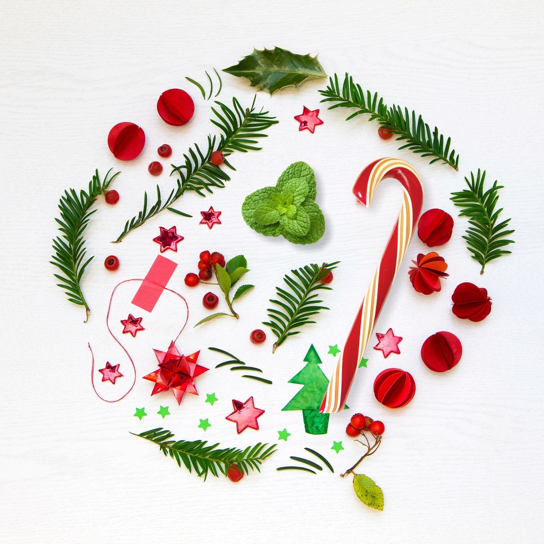 Organic Mint Candy Canes – Hammond's Candies